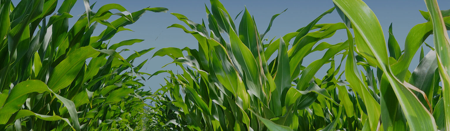 Produits et équipe - fenaco GOF